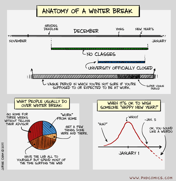 PhD Christmas: Vaguely a Holiday | Dr Sarah Marley